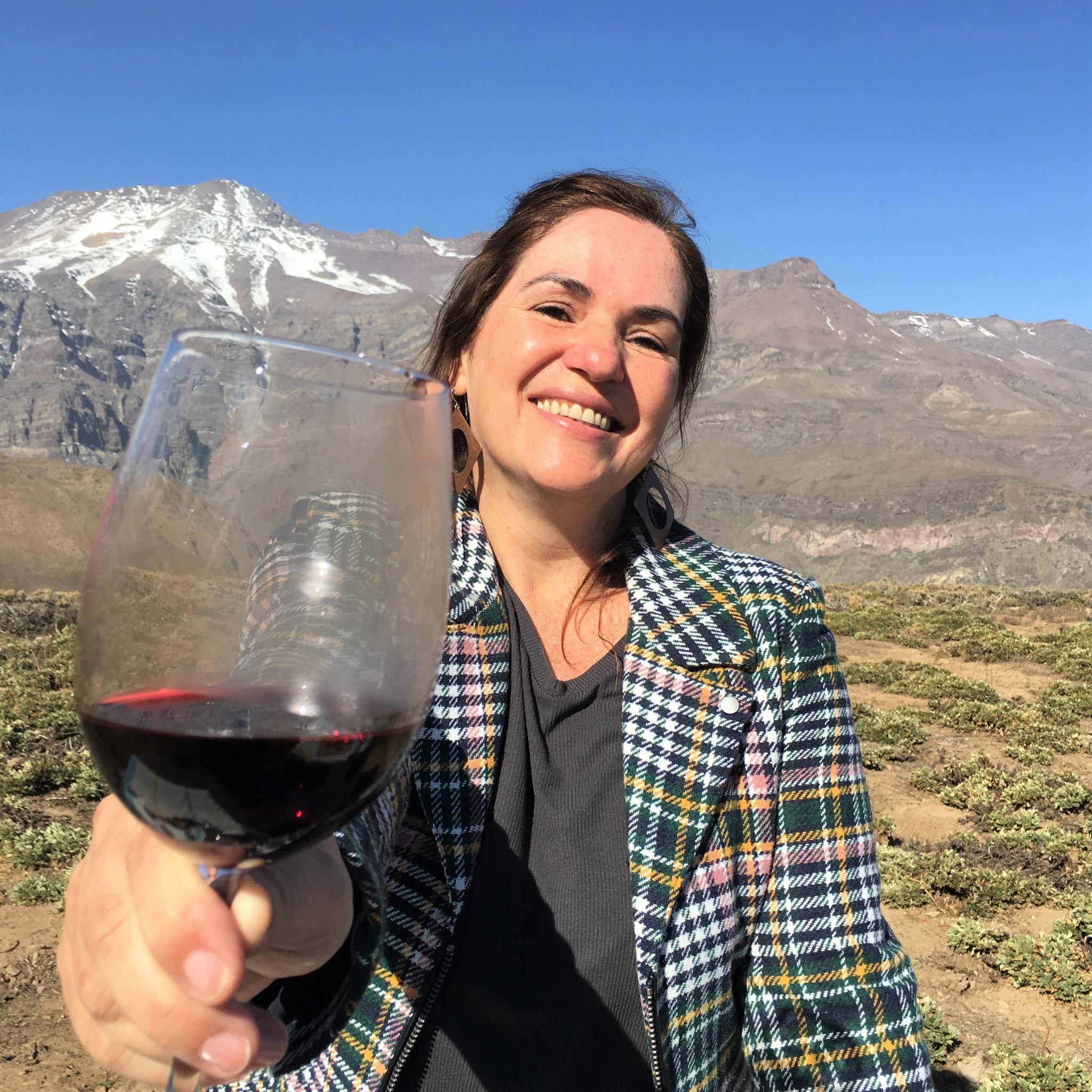 4-piquenique-no-chile – Férias no Chile – Turismo de Experiências