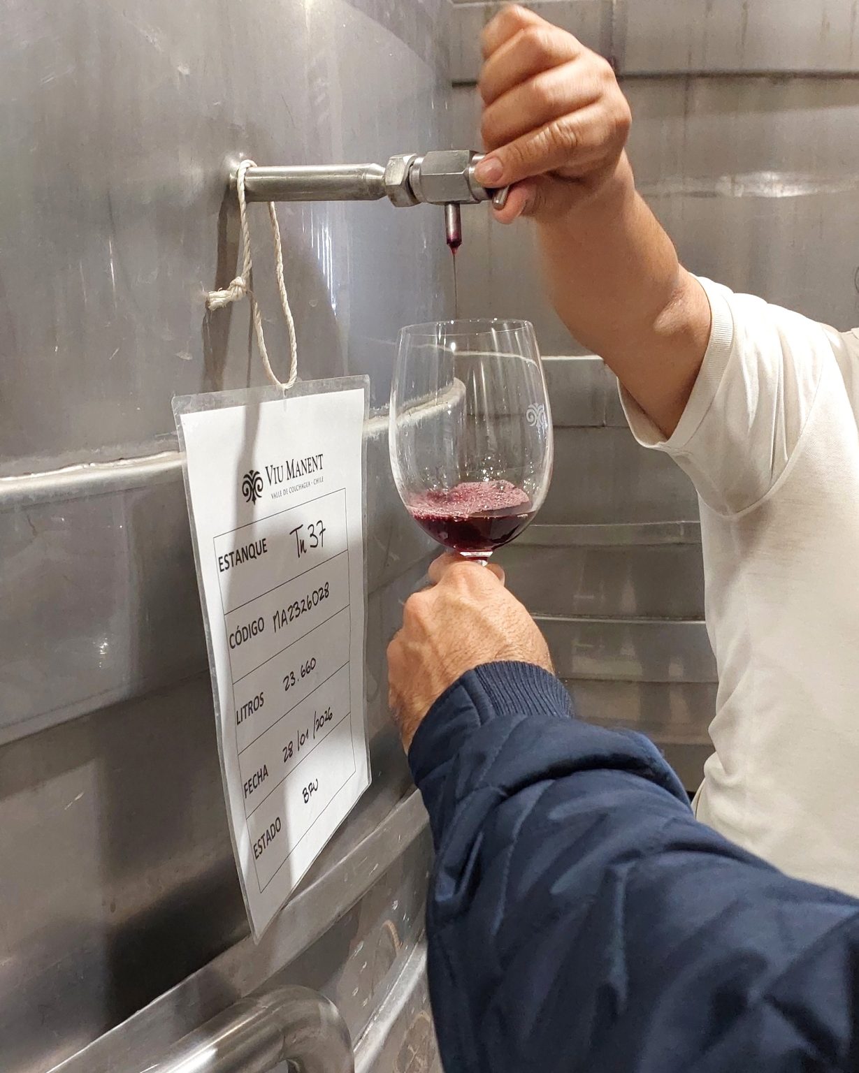 Viu Manent – Férias no Chile – Turismo do Vinho no Chile